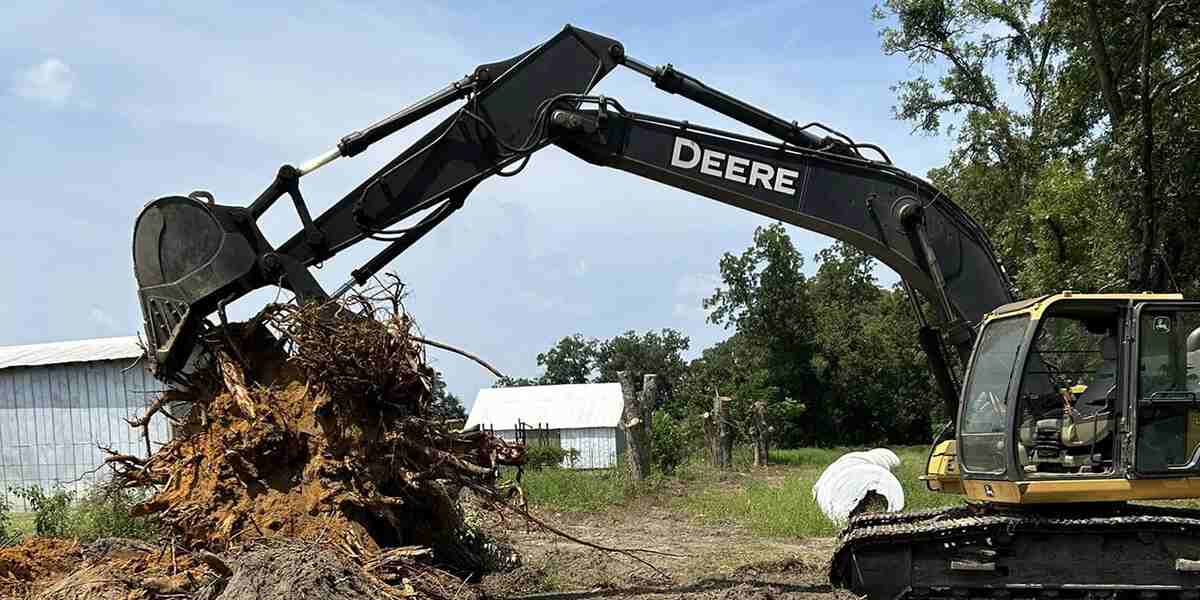 What Does Tree Rot Look Like in Leesburg, GA?