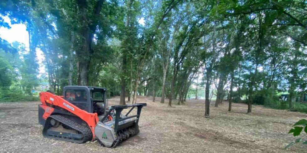 What Is Forestry Mulching and Why You Need It